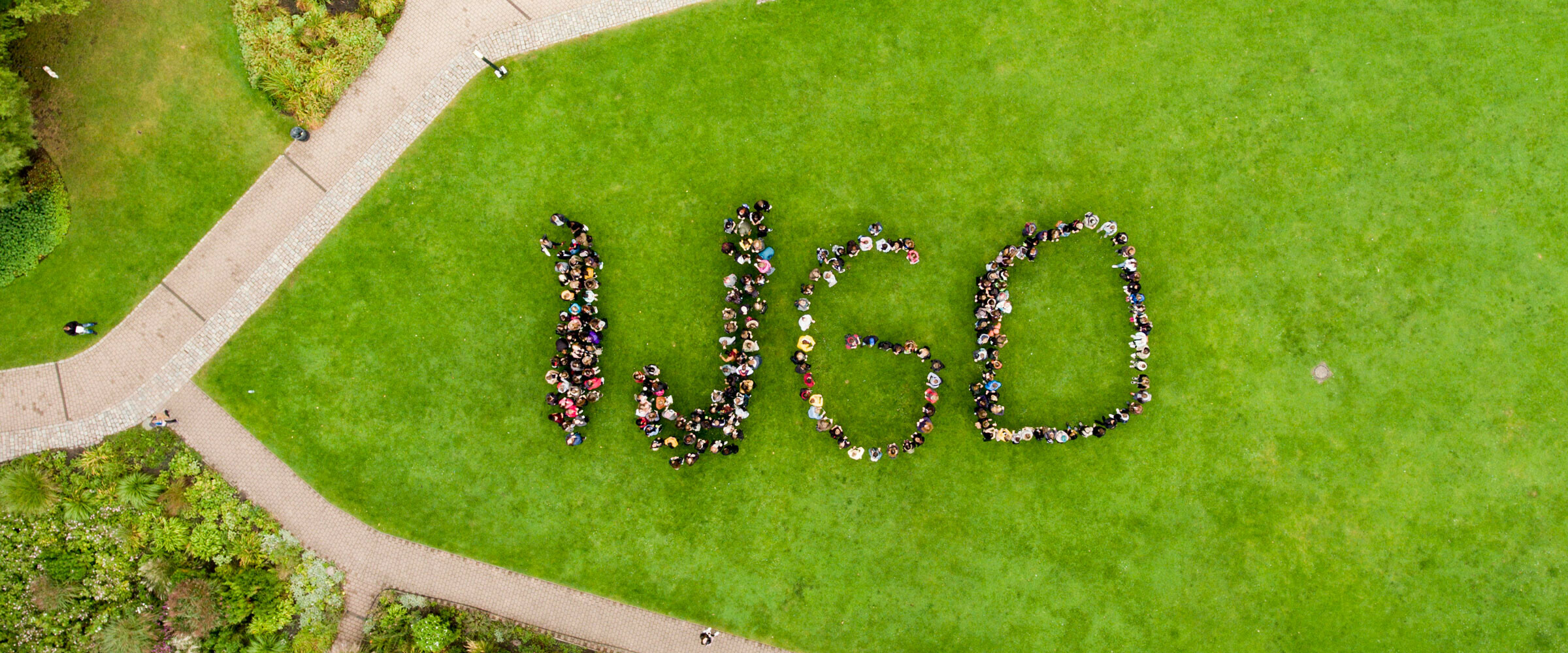 Alles über die ijgd