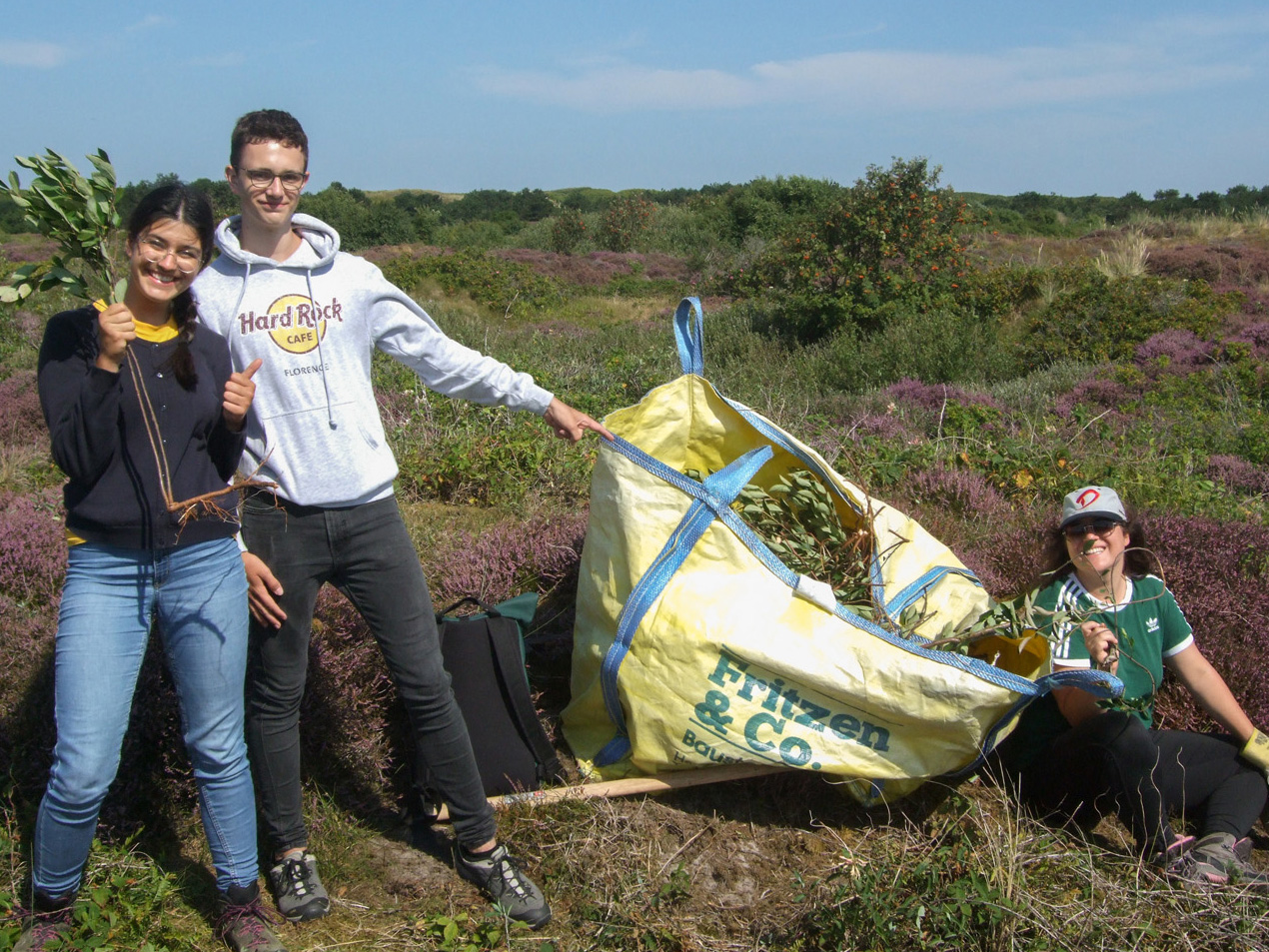 Internationale Workcamps in Deutschland